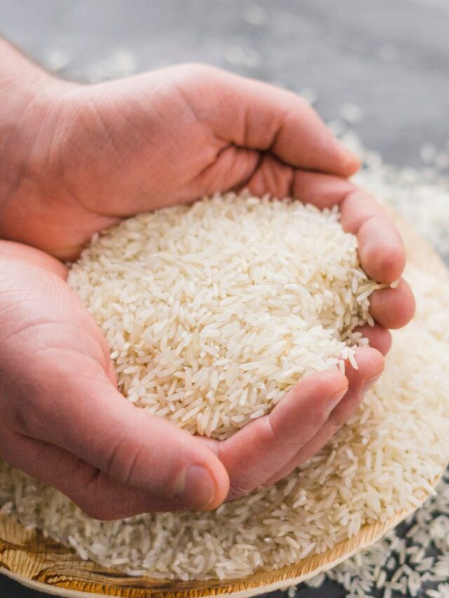 6 Amazing Benefits Of Eating Rice | GetDistributors
