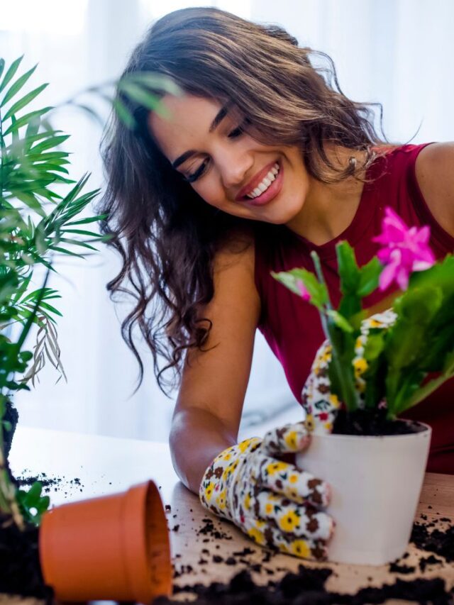 Simple And Effective Ways To Protect Plants | GetDistributors