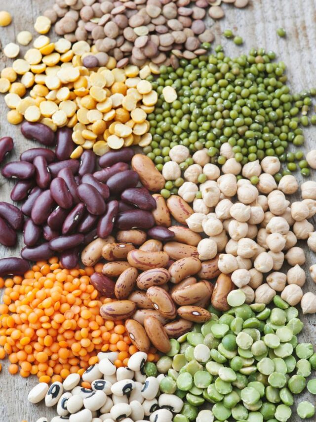 Explore Different Types Of Beans | GetDistributors