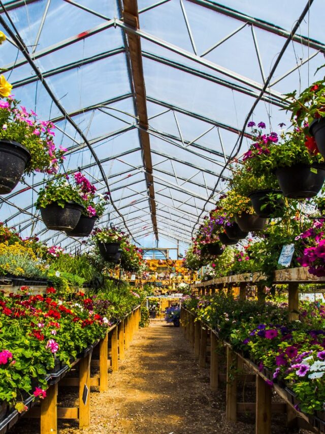 Top 5 Greenhouse Supplies & Equipment | GetDistributors