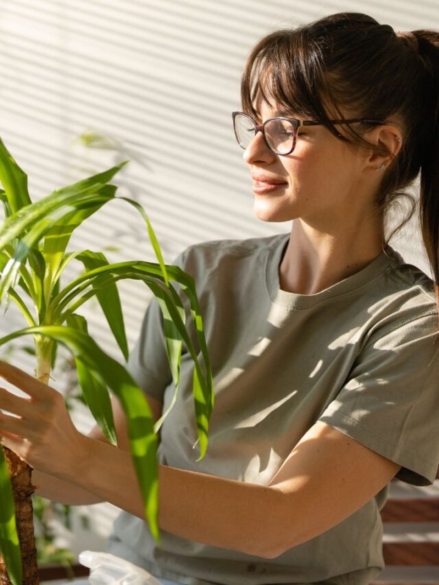 6 Natural Ways To Reduce Humidity Level At Home | GetDistributors