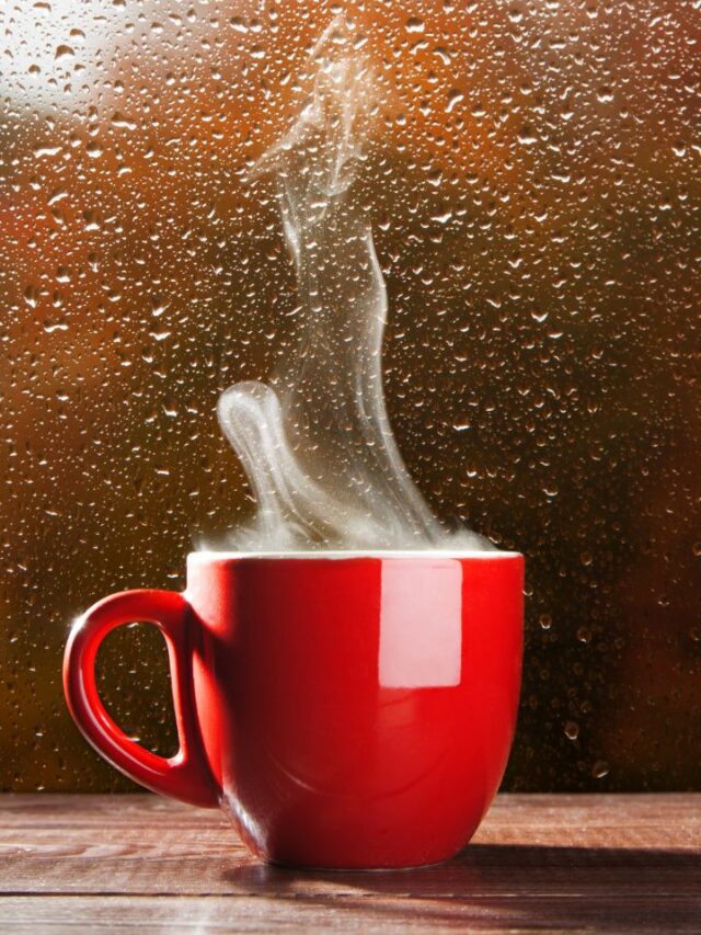 9 Different Types Of Tea For Rainy Days | GetDistributors