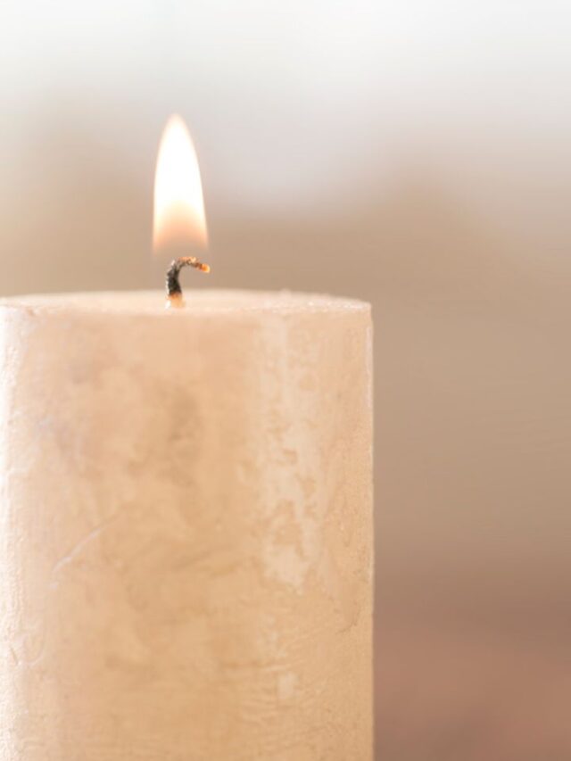 Charming Candle Shapes You Will Adore | GetDistributors