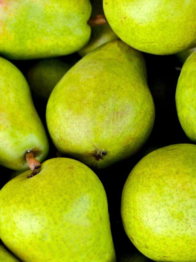 The Many Benefits Of Pears | GetDistributors