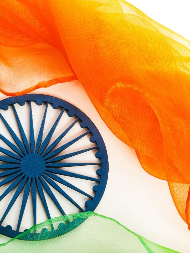 Tricolor Dishes For Independence Day | GetDistributors