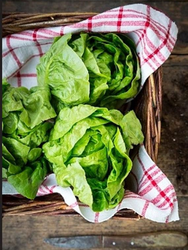 Lettuce Help You Stay Healthy: 6 Reasons To Eat More. | GetDistributors